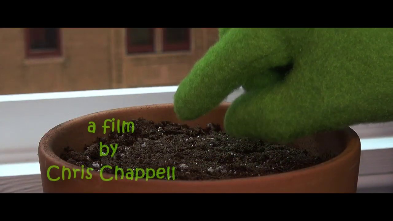 Weed Whacked - 48 hour puppet film project 2019 - YouTube