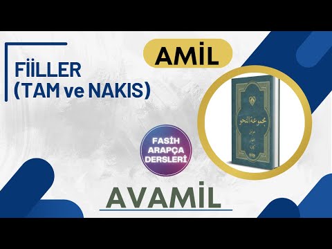 AVAMİL 6.DERS FİİLLER ( TAM ve NAKIS )