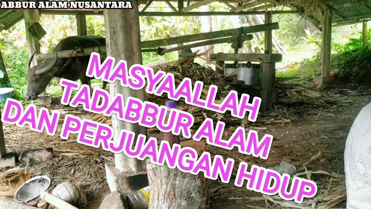 Tadabbur Alam Keindahan dan Kekayaan Alam - YouTube
