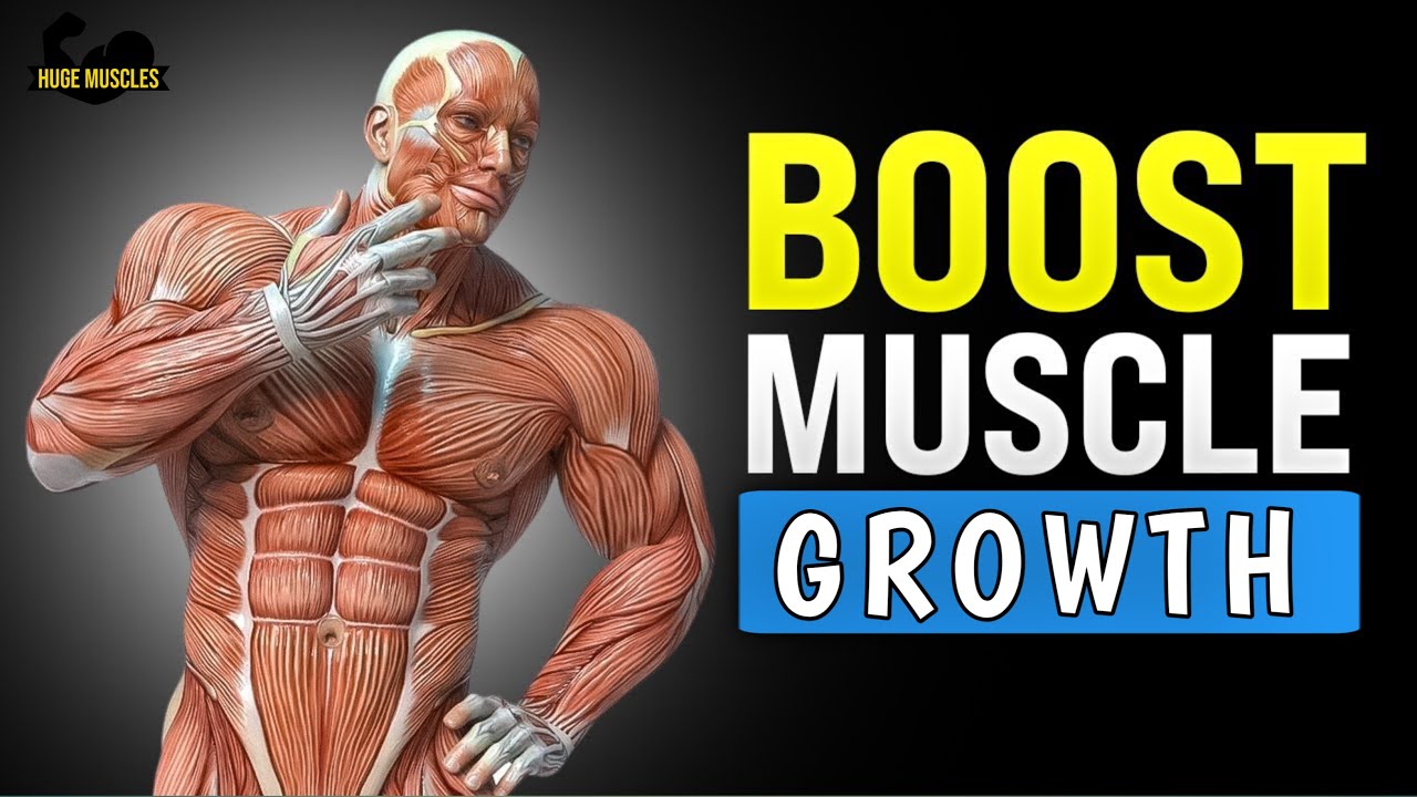 How to accelerate muscle growth naturally | Muscles Boost up - YouTube