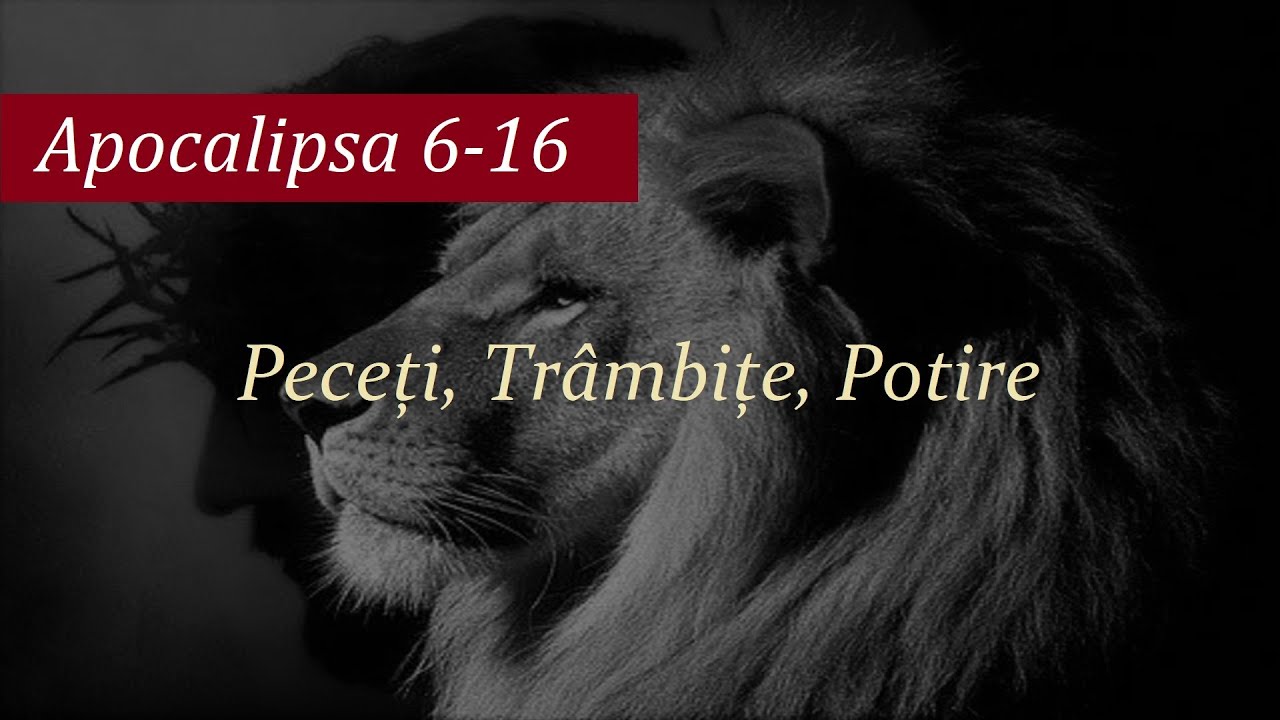 7 Peceți, 7 Trâmbițe, 7 Potire - privire de ansamblu, rezumat ...