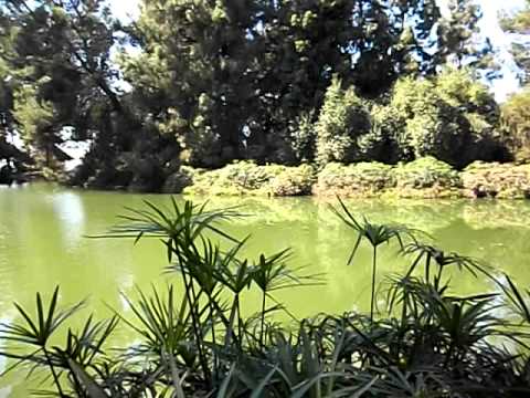 Ernest E Debs Park Los Angeles - YouTube