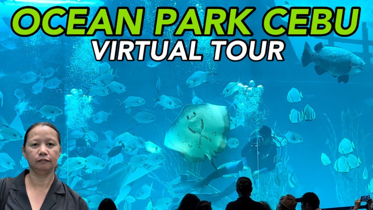 OCEAN PARK CEBU FIRST MARINE PARK IN VISAYAS & MINDANAO - VIRTUAL TOUR ...