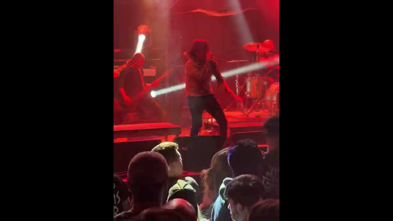 Dogs can grow beards all over - The devil Wears Prada ft caleb shomo 4/ ...