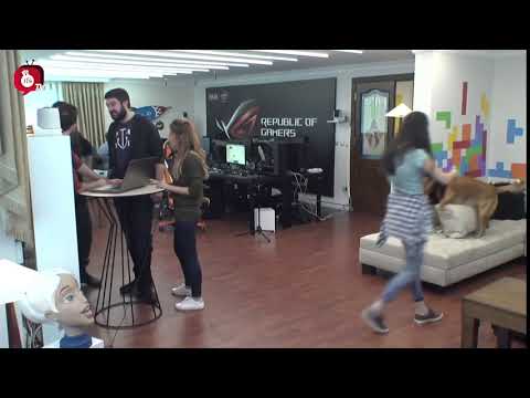 Levonun köpeği yastıkla iş başında