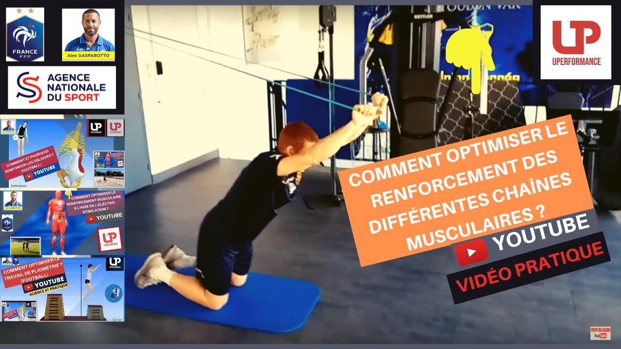 COMMENT OPTIMISER LE RENFORCEMENT DES DIFFÉRENTES CHAÎNES MUSCULAIRES ...