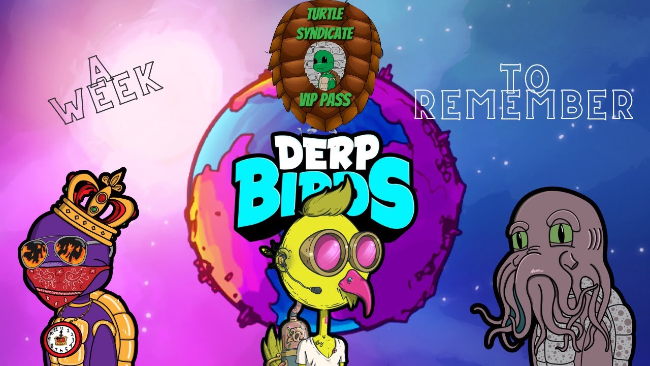 Cardano Recap, The Turtle Syndicate, Plus Derp Birds - Outposts - YouTube