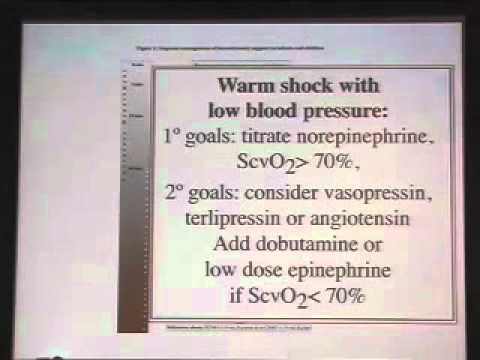ACCM/AHA/PALS Guidelines for Hemodynamic Support of Septic Shock: After ...