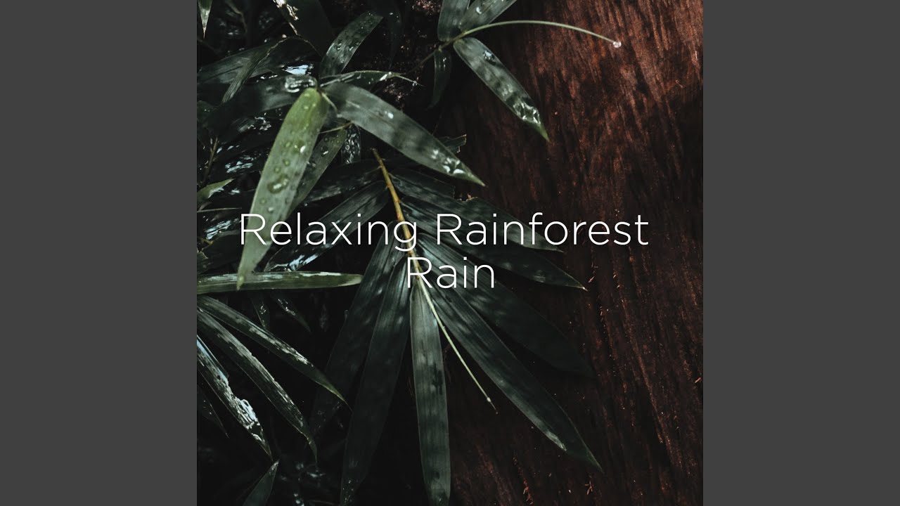 Light Rain Tapping Asmr - YouTube