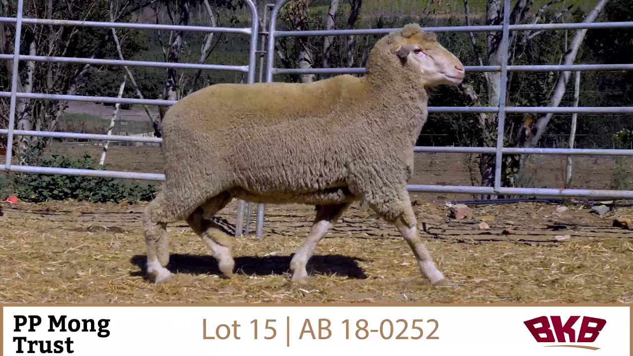 BKB | PP Mong Trust Digitale Veiling 2020 | Lot 15 - YouTube