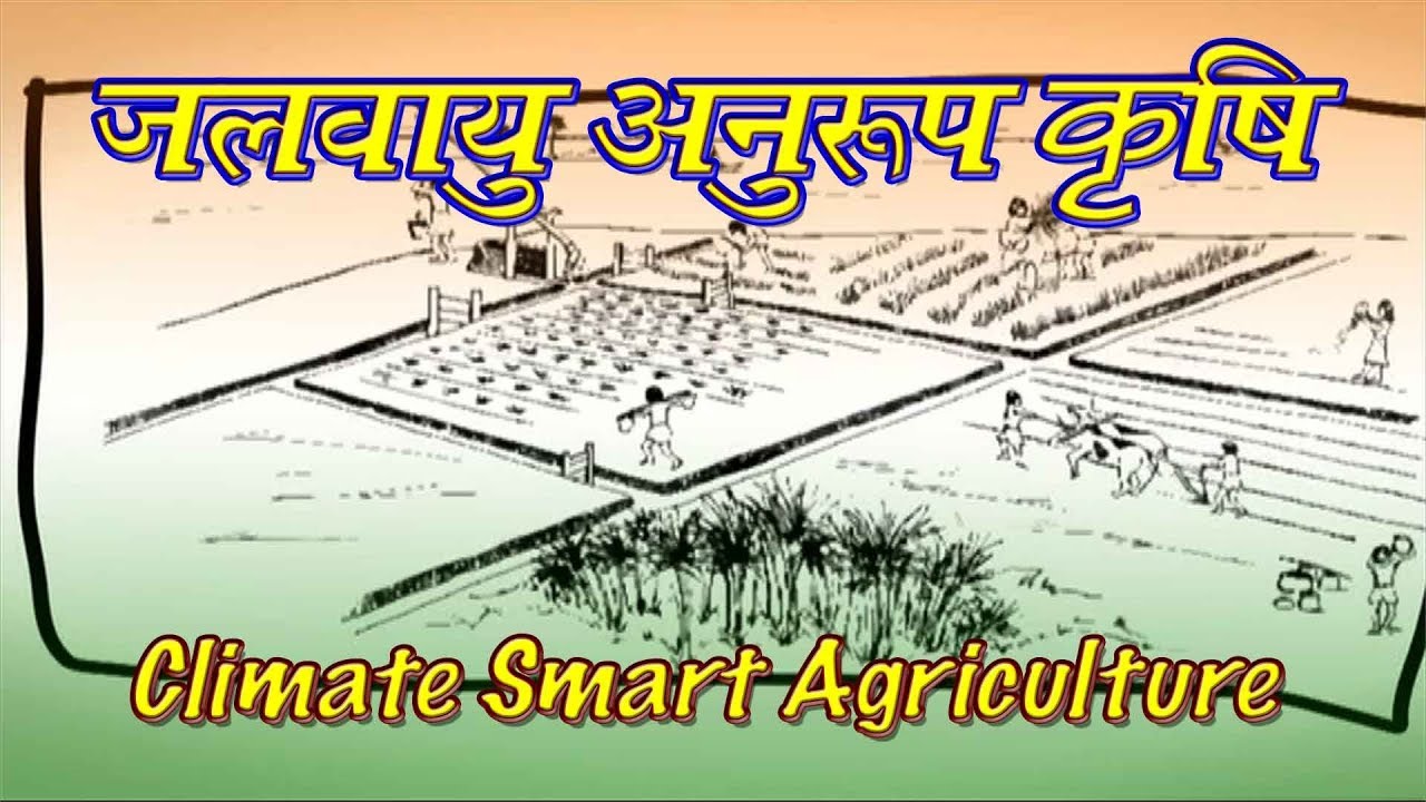 Climate Smart Agriculture in India | जलवायु अनुरूप कृषि | Climate ...