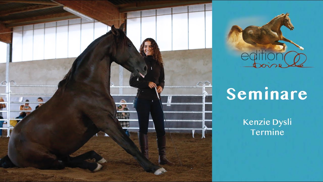 Freiheitsdressur Seminare mit Kenzie Dysli - YouTube