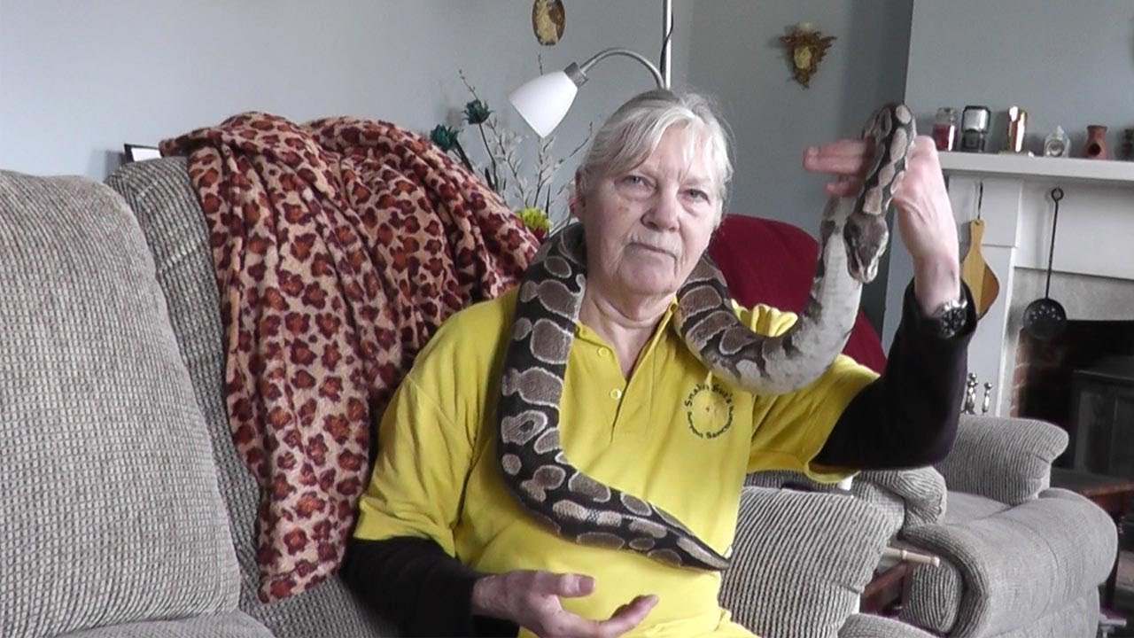 Pensioner Shares Her Home With Over 100 Snakes - YouTube