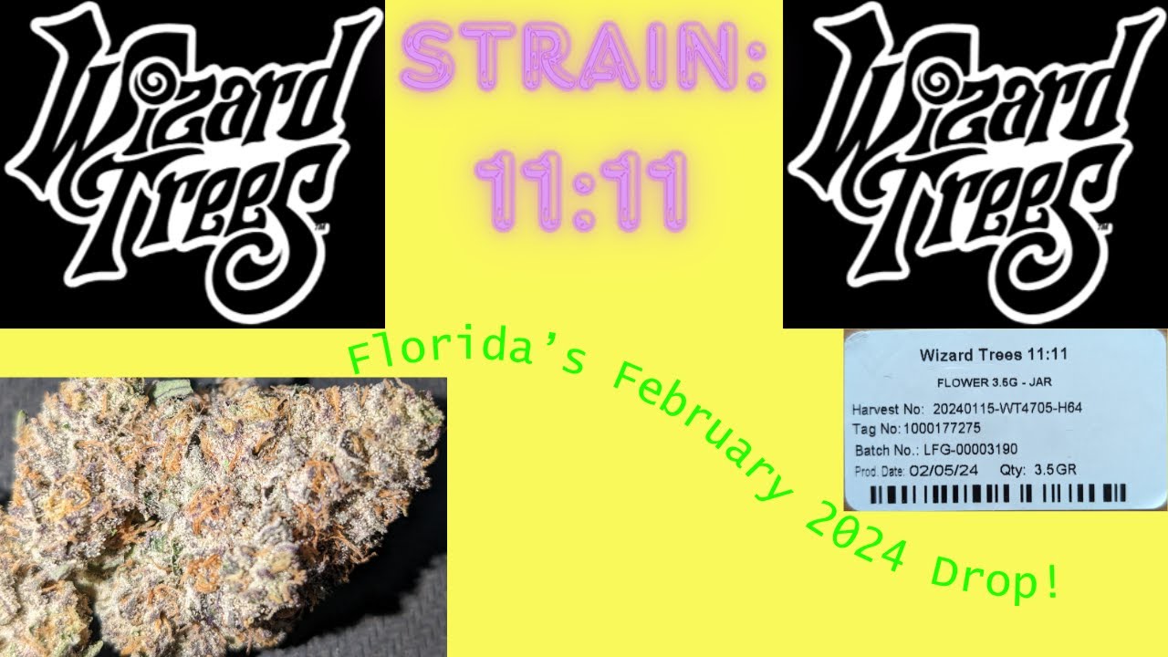 Wizard Trees...2nd FLORIDA DROP! Unjarring and reviewing their 11:11 ...