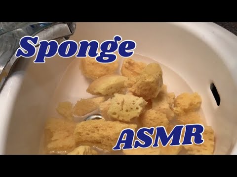 💛SPONGE ASMR💛 RINSING RIPPED SPONGES 🧽💥 SATISFYING SPONGE SQUEEZING ...