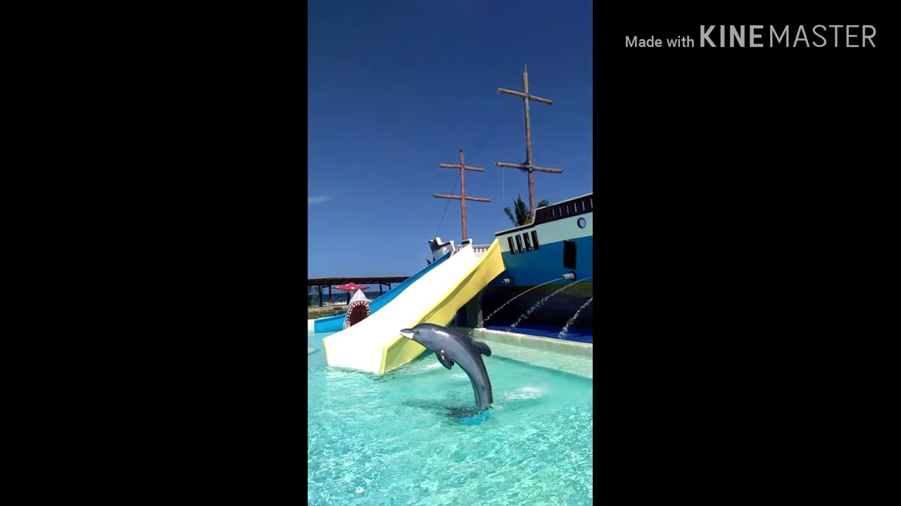 ACAPULCO RESORT TOLEDO CITY, CEBU - YouTube
