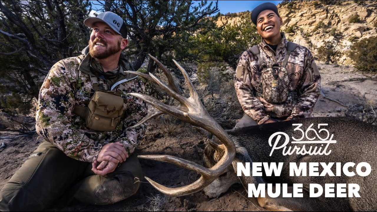 New Mexico Mule Deer Hunt - YouTube