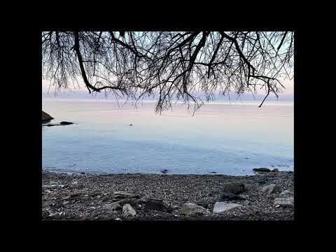 kilink - kırmızı elbise cover