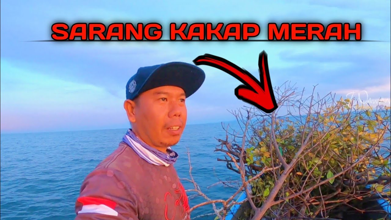 cara buat rompun/rompong ikan kakap merah sederhana - YouTube