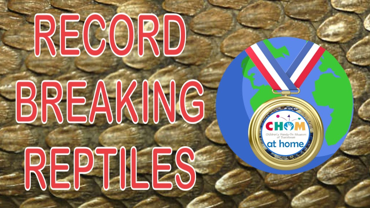 Record Breaking Reptiles! - YouTube