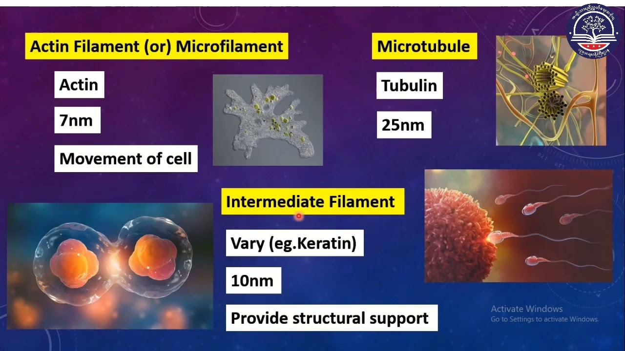 Grade 10 Biology, Chapter - 2, (Part 12) - YouTube