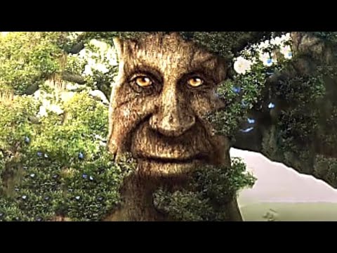 Wise Tree Compilation - YouTube