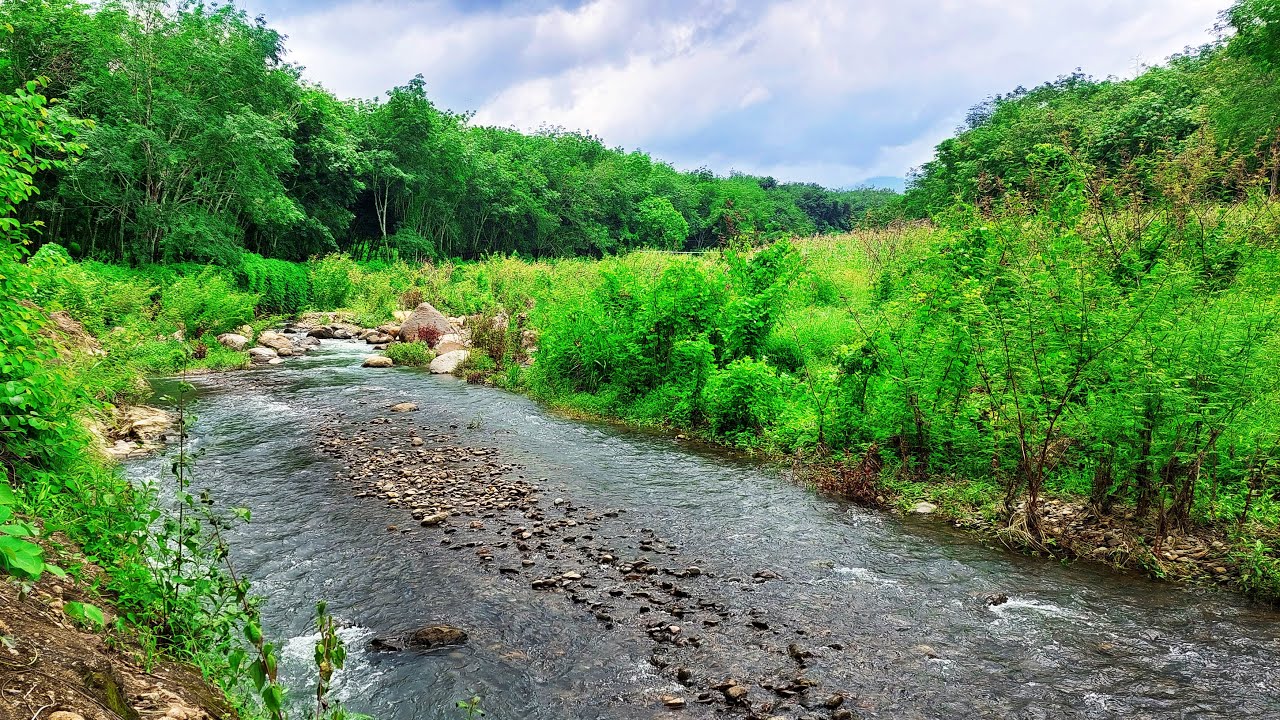 Stream River in the mountains, babbling brook Nature, morning nature ...