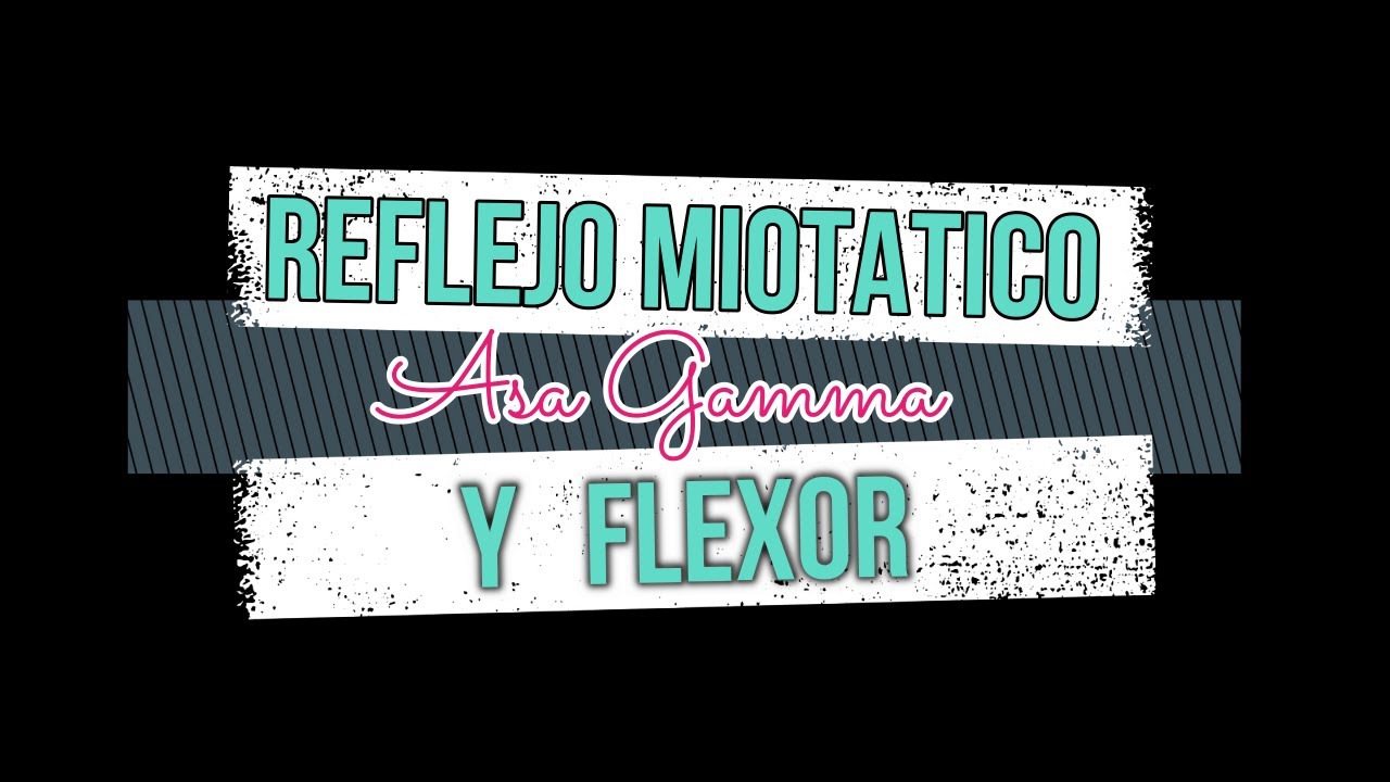 Reflejos Medulares-Reflejo Miotático, Reflejo Asa Gamma y Reflejo ...