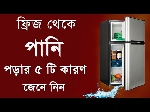 ফ্রিজ থেকে কেন পানি পড়ে, ৫ টি কারণ জেনে নিন । 5 reason of waterfall from Refrigerator