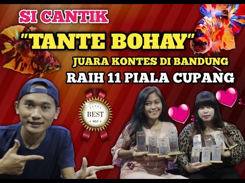 SI CANTIK \