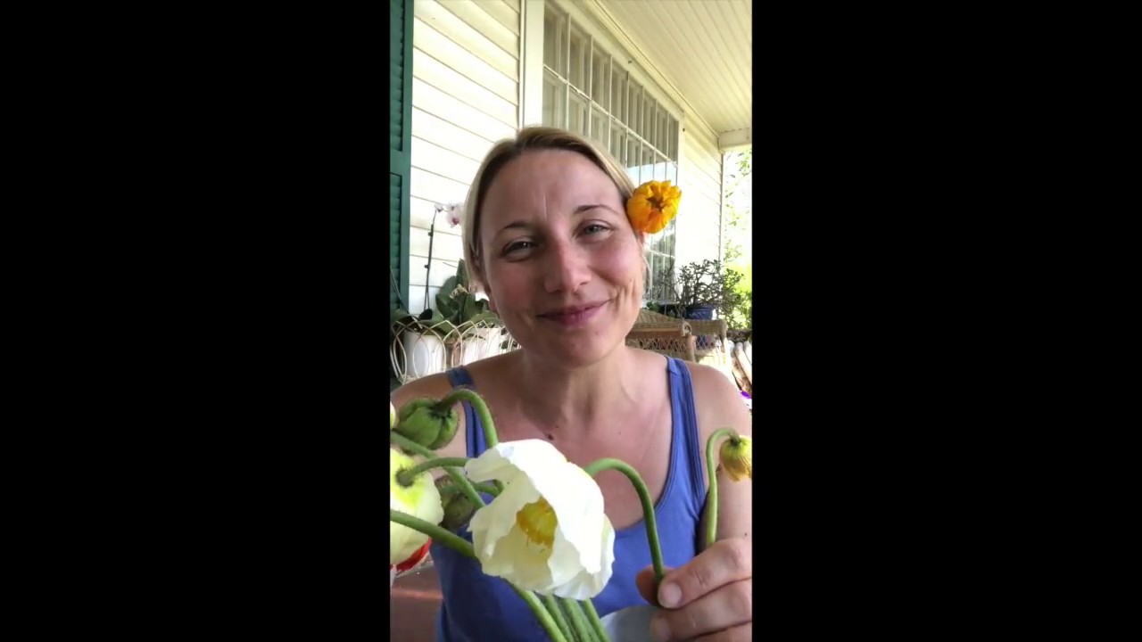 Poppy Tip: How to open a poppy - YouTube