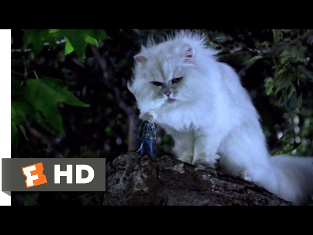 Nathan Lane Snowbell
