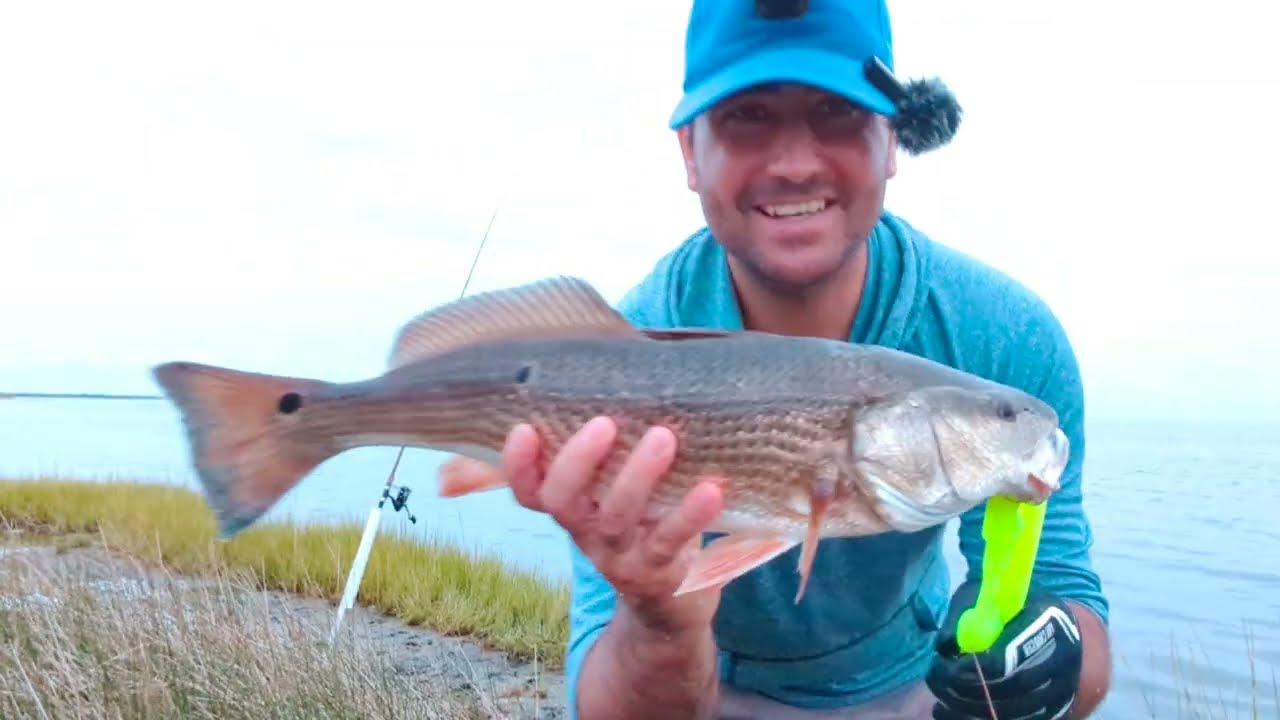 Pre-Hurricane Idalia Fishing: A Bait Variety for Drum Bluefish and ...