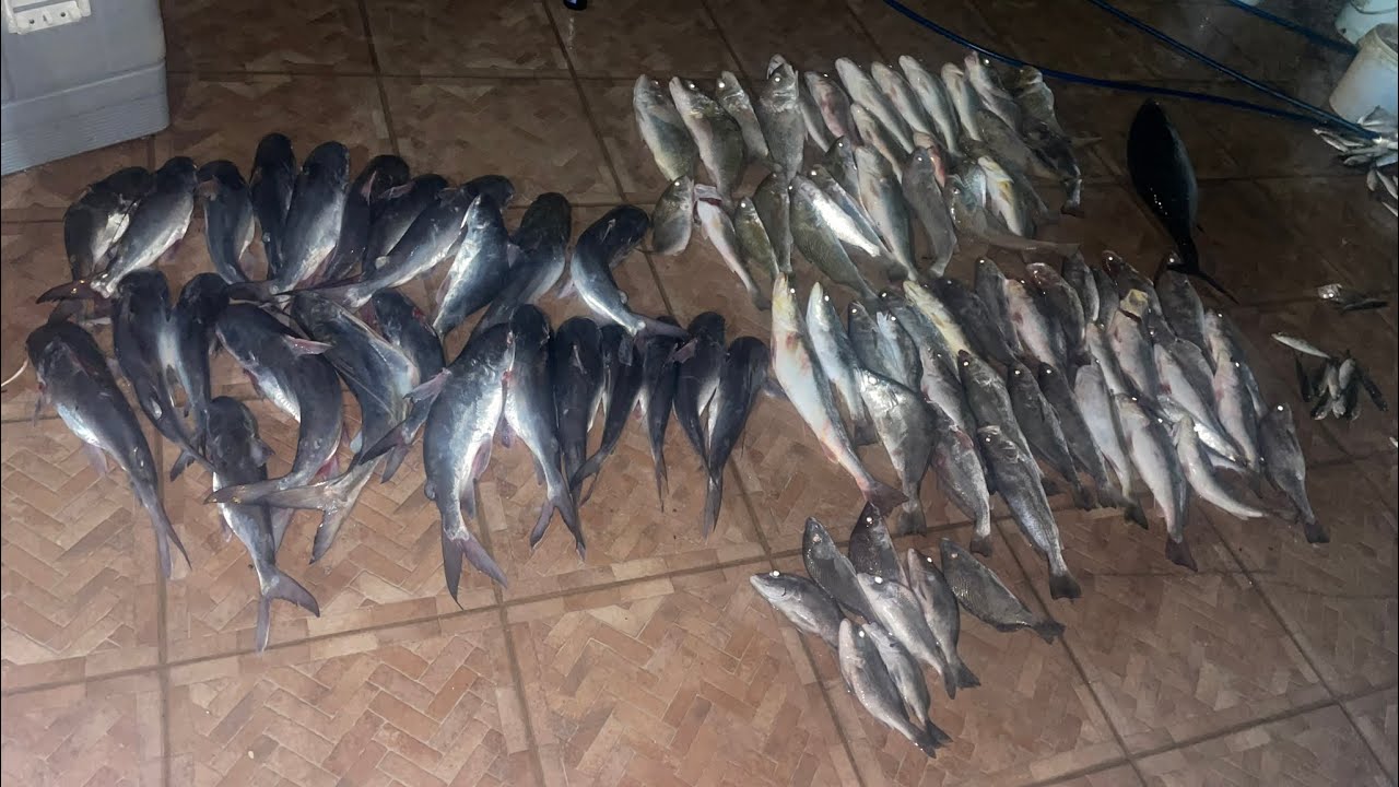 Last Minute Fishing Before Christmas ! Big Bonito Caught Trolling ...