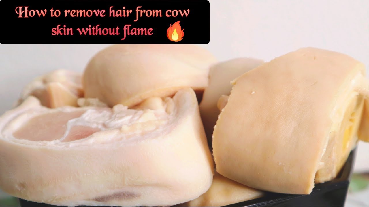 How To Remove Hair from cow Skin without Flame 🔥 - YouTube
