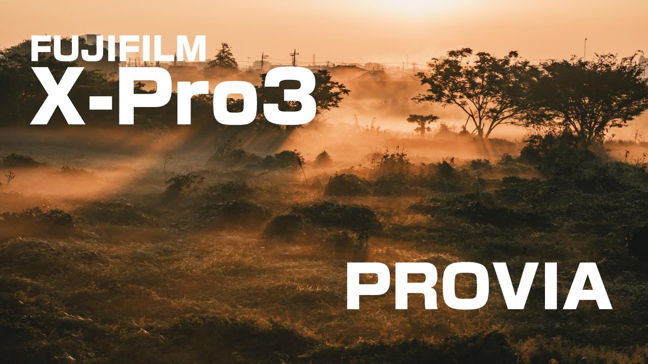 【snap】早朝散歩で見つけた美しい景色【 X-Pro3】 - YouTube