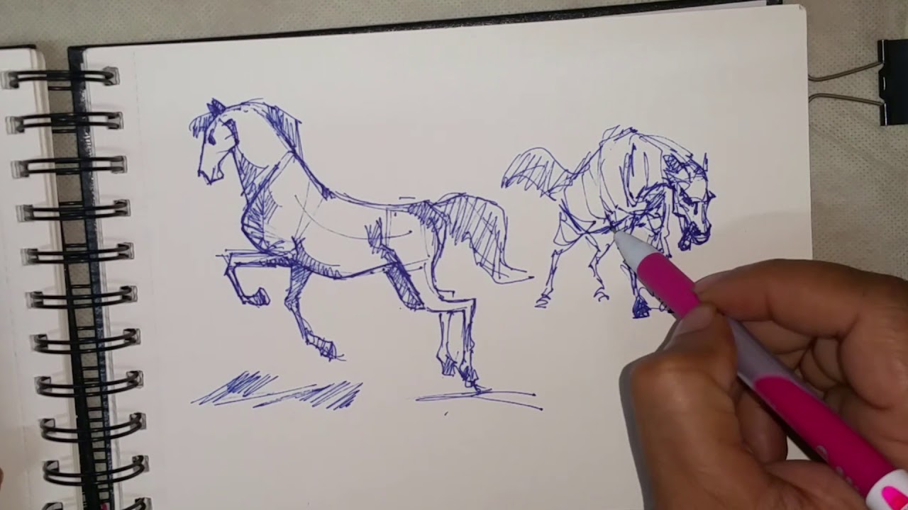 Rapid Drawing Horse in different angles - YouTube