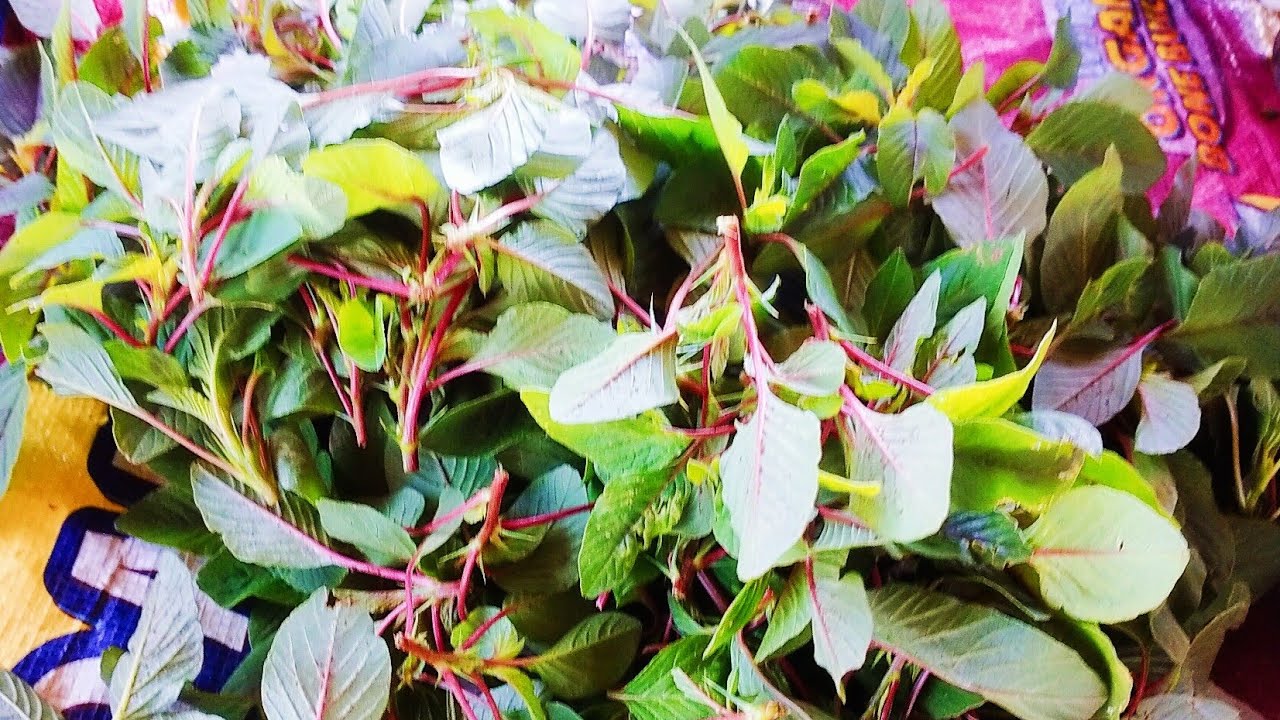 Amazing Kulitis / Spinach Health Benefits - YouTube