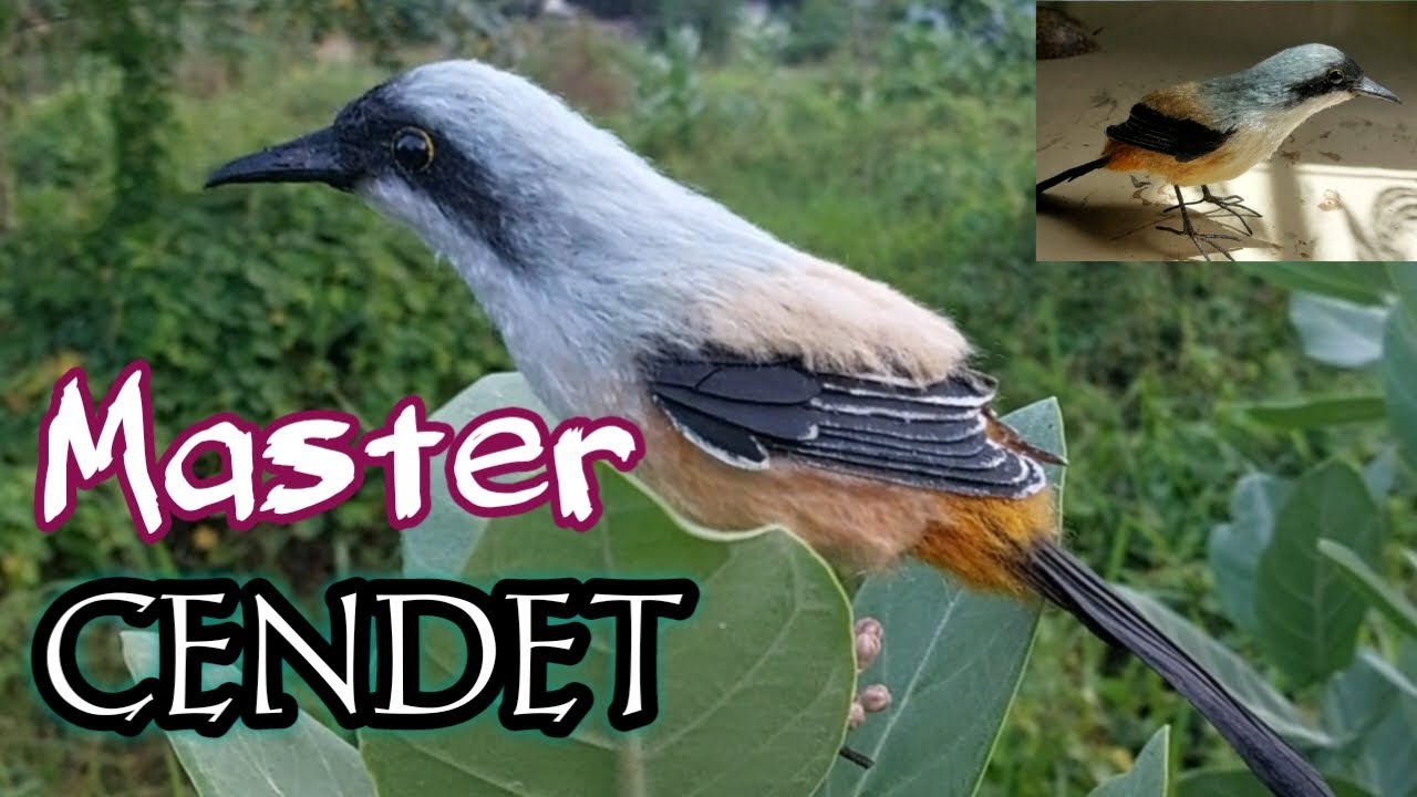 Kerajinan BURUNG CENDET terbuat dari sabut kelapa dan benang - YouTube