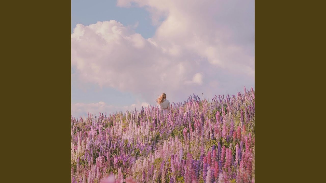 Fading Polaroids - YouTube