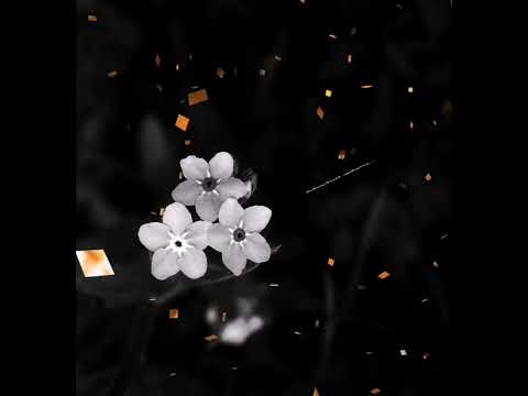 Arapça neşid... #neşid #nasheeds #tevhid #tewheed #arapça  #müslim #kuran #islam #ilahi #нашид #نشيد