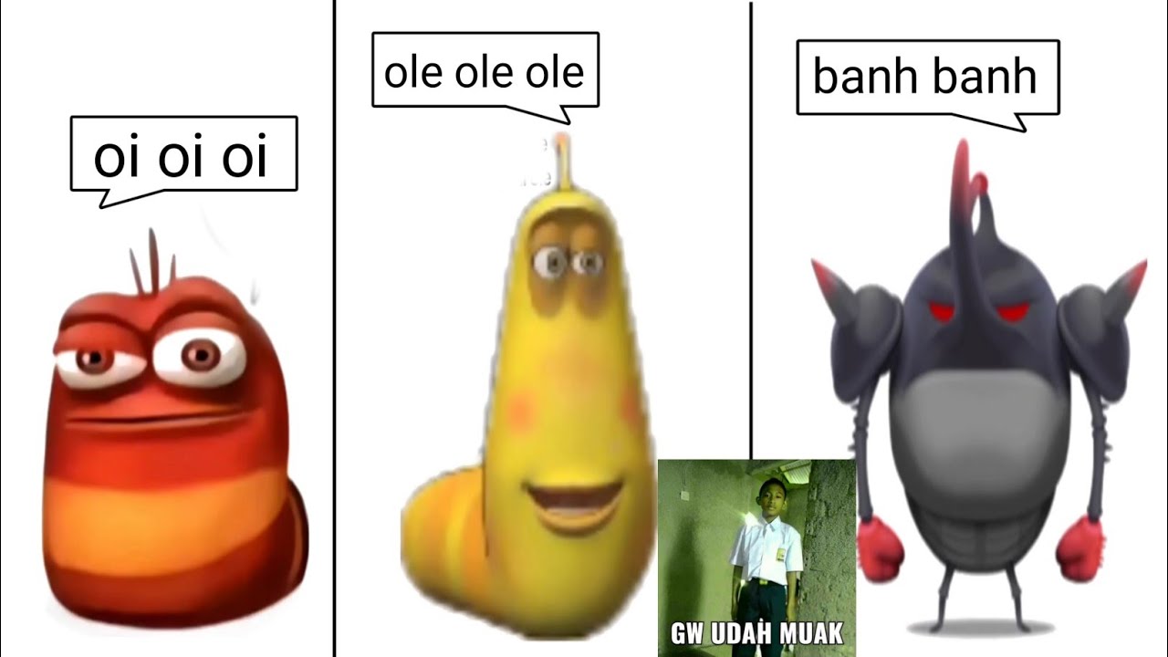 Meme larva...(muncul yang baru jir) - YouTube