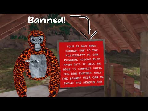 5 Things To Do When Banned - YouTube