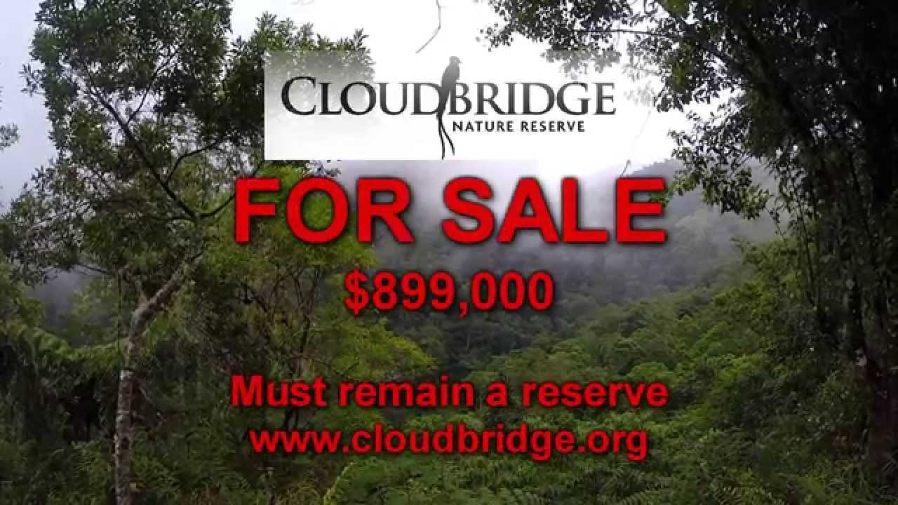 Cloudbridge, Costa Rica - YouTube