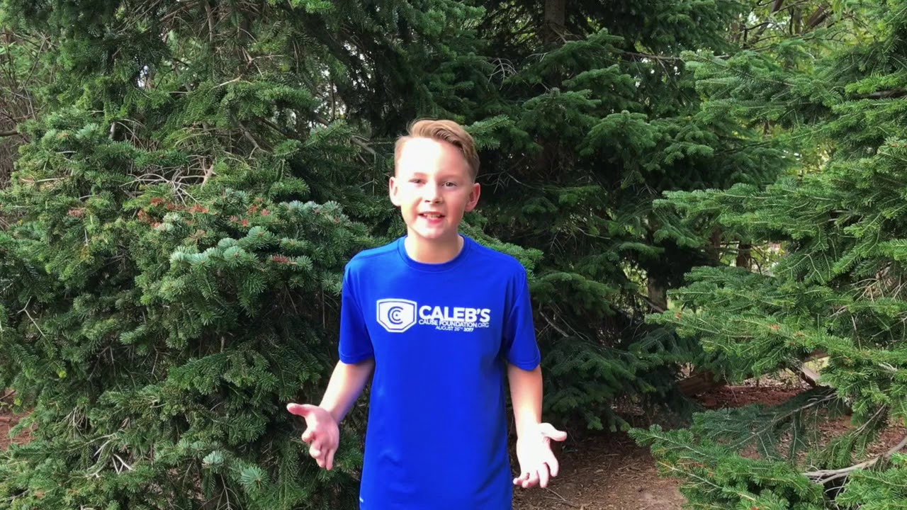 Caleb's Cause Foundation Diaper Drive - YouTube
