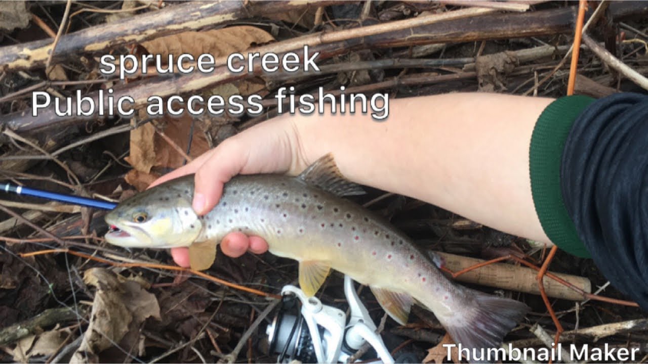 SPRUCE CREEK PUBLIC FISHING - YouTube