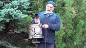 Срез Кедра 445 лет. - YouTube