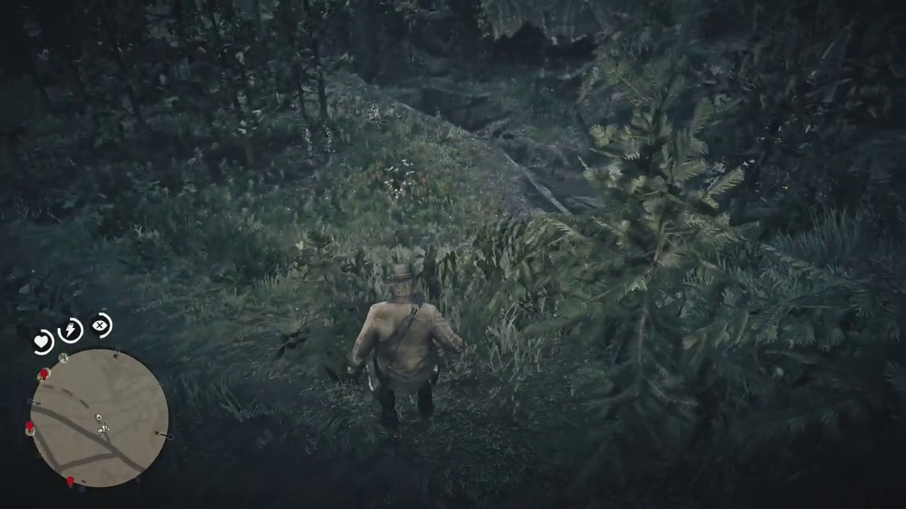 Red Dead Redemption 2 Herbalist Challenge 2 Pick & eat 4 types of berry ...