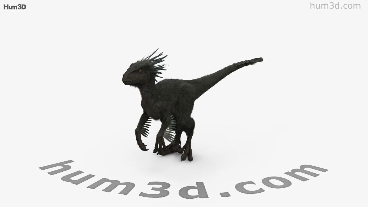 Raptor 3D model by 3DModels.org - YouTube