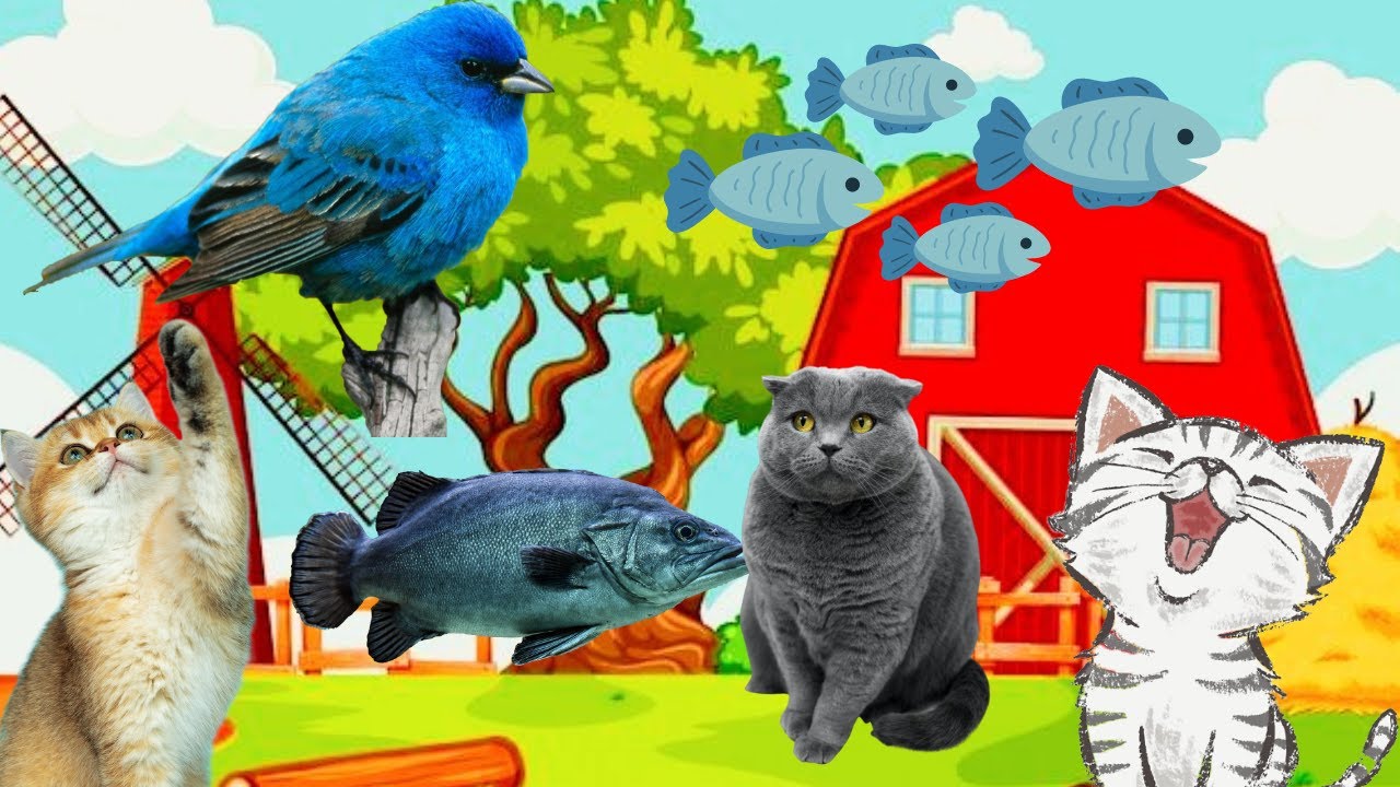 ANIMAL SOUNDS I Cute Animal Sounds Video Compilation 2023 - YouTube